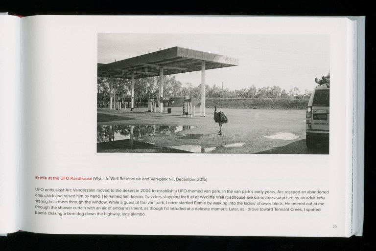 'The Lumen Seed' by Judith Crispin (2016)