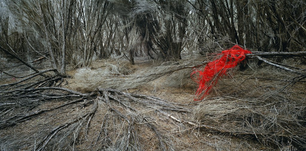 'Rosemary Laing' at TarraWarra Museum of Art, Dec 2017 - Feb 2018