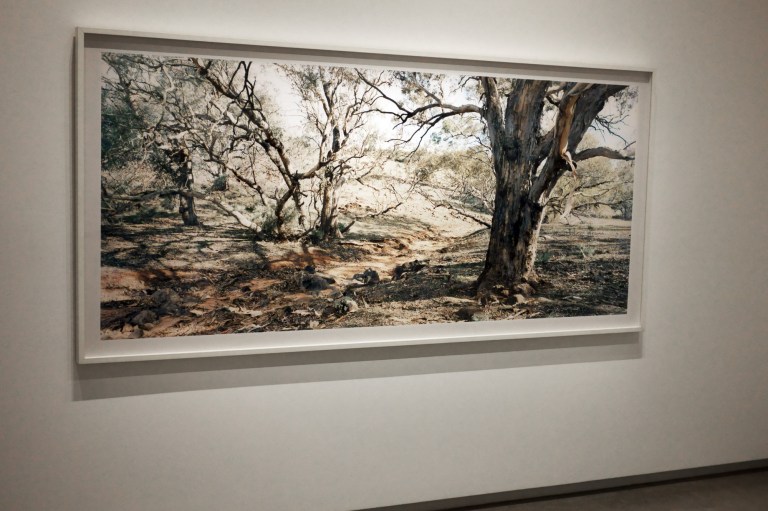 'Rosemary Laing' at TarraWarra Museum of Art, Dec 2017 - Feb 2018