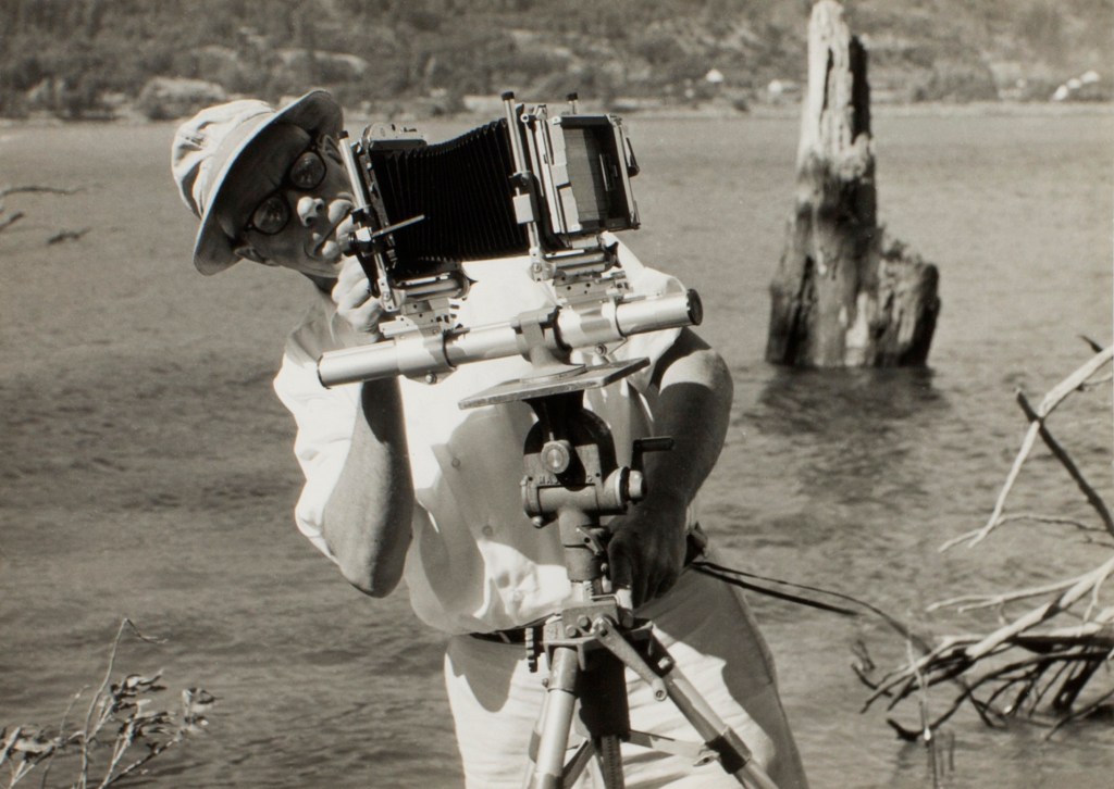 Art Blart _ art and cultural memory archive – Page 40