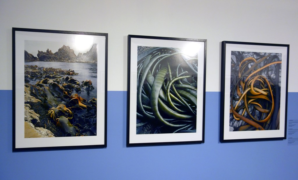 Review: ‘Dombrovskis: journeys into the wild’ at Monash Gallery of Art ...