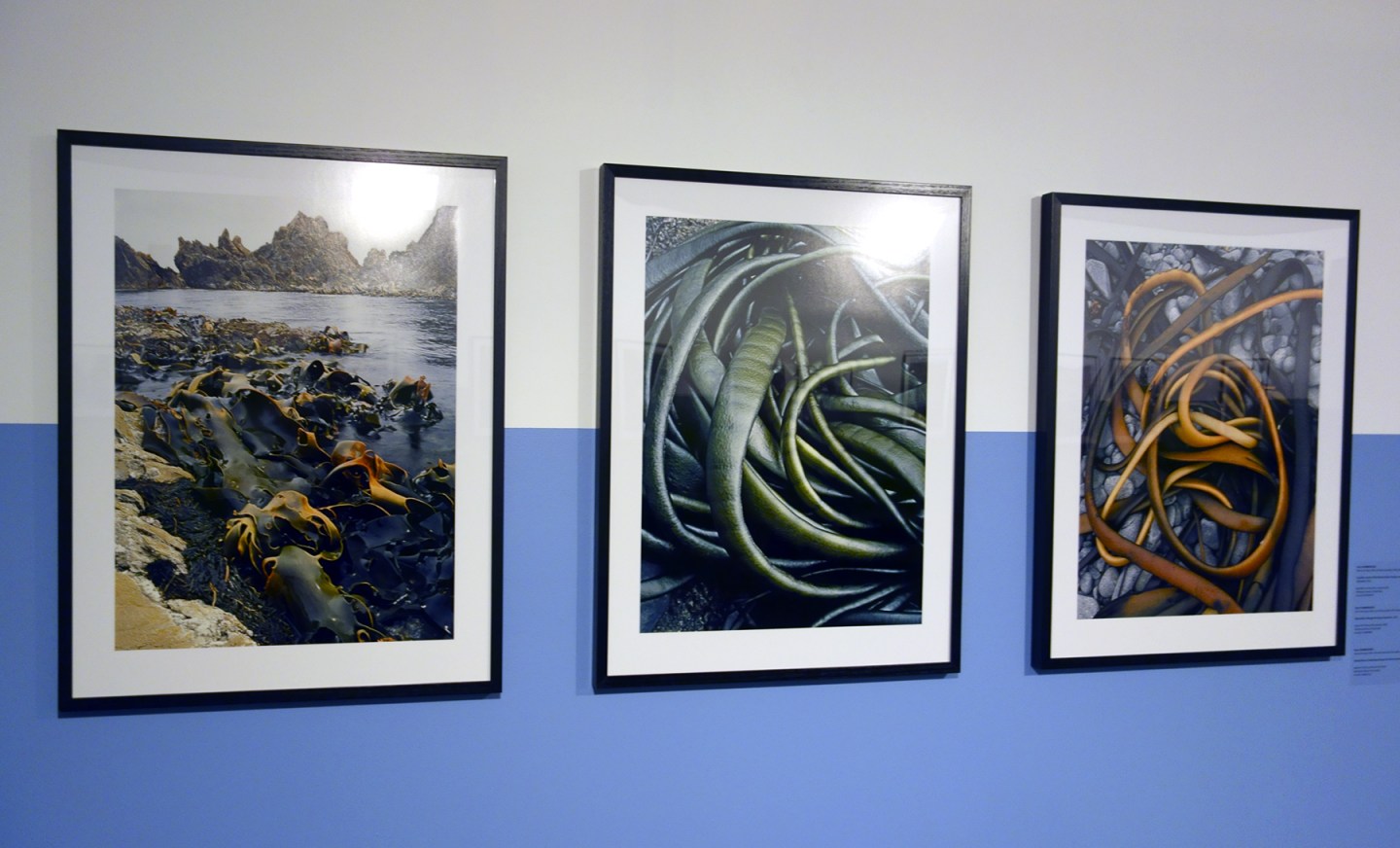 'Dombrovskis: journeys into the wild' at Monash Gallery of Art, Melb