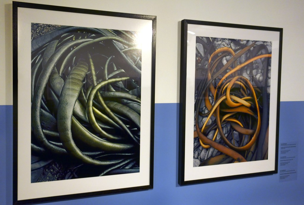 'Dombrovskis: journeys into the wild' at Monash Gallery of Art, Melb