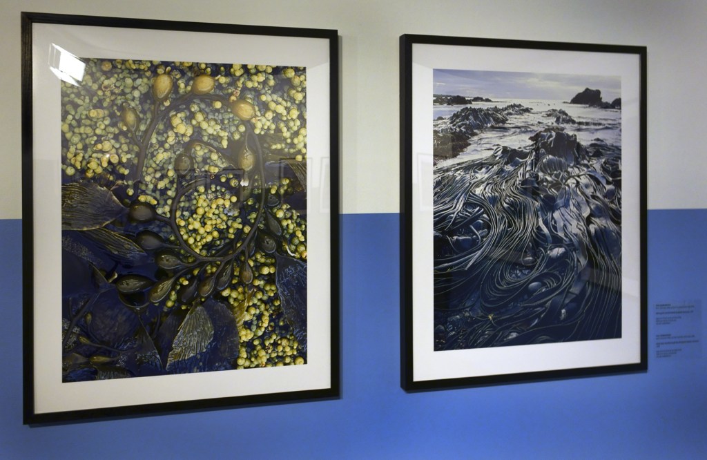 Review: ‘Dombrovskis: journeys into the wild’ at Monash Gallery of Art ...