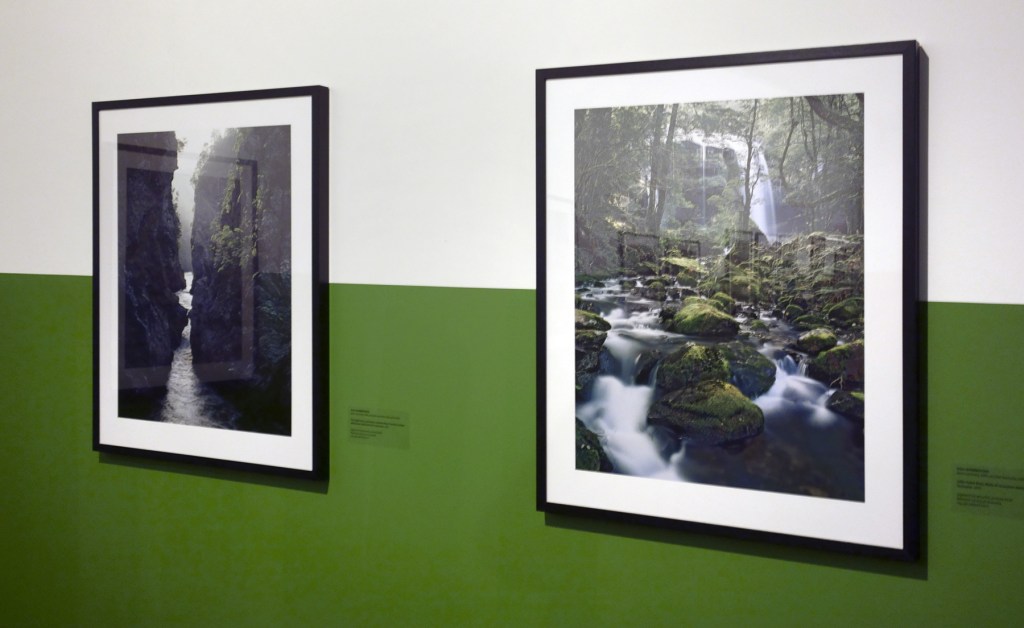 'Dombrovskis: journeys into the wild' at Monash Gallery of Art, Melb
