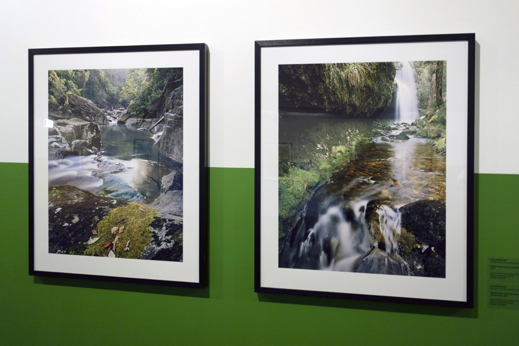 'Dombrovskis: journeys into the wild' at Monash Gallery of Art, Melb