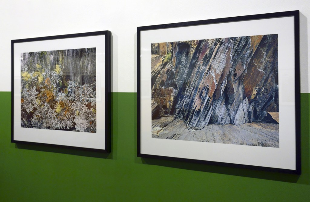'Dombrovskis: journeys into the wild' at Monash Gallery of Art, Melb