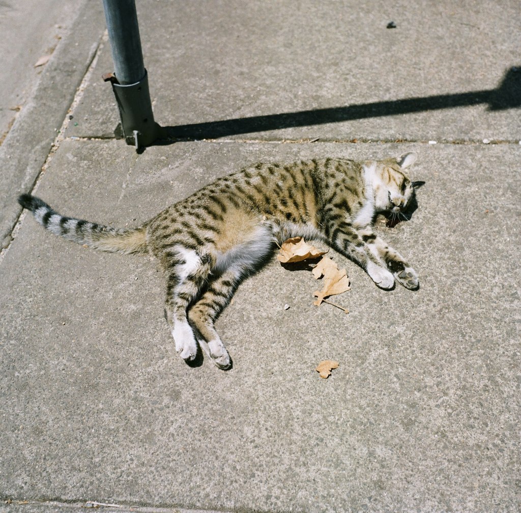 Glenn SloggettArt Blart _ art and cultural memory archive