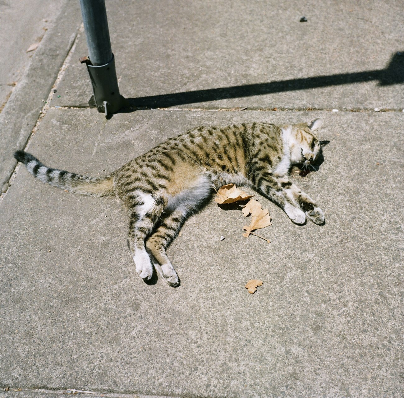 Glenn SloggettArt Blart _ art and cultural memory archive