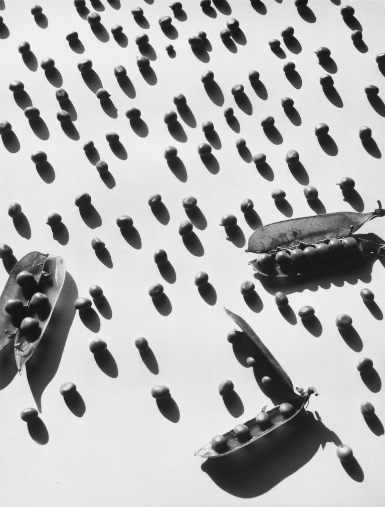 'Unearthed: Photography's Roots' at the Dulwich Picture Gallery