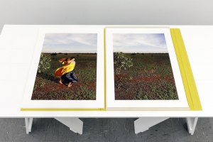 'Birdlike' by Anne Ferran at Sutton Gallery, Melbourne