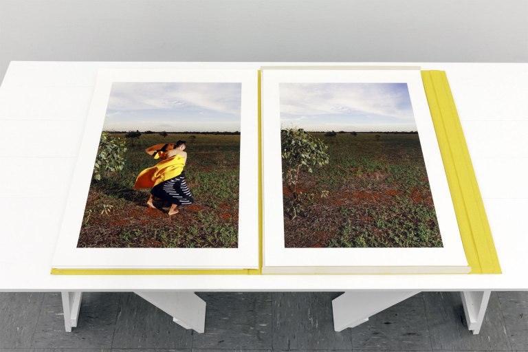 'Birdlike' by Anne Ferran at Sutton Gallery, Melbourne