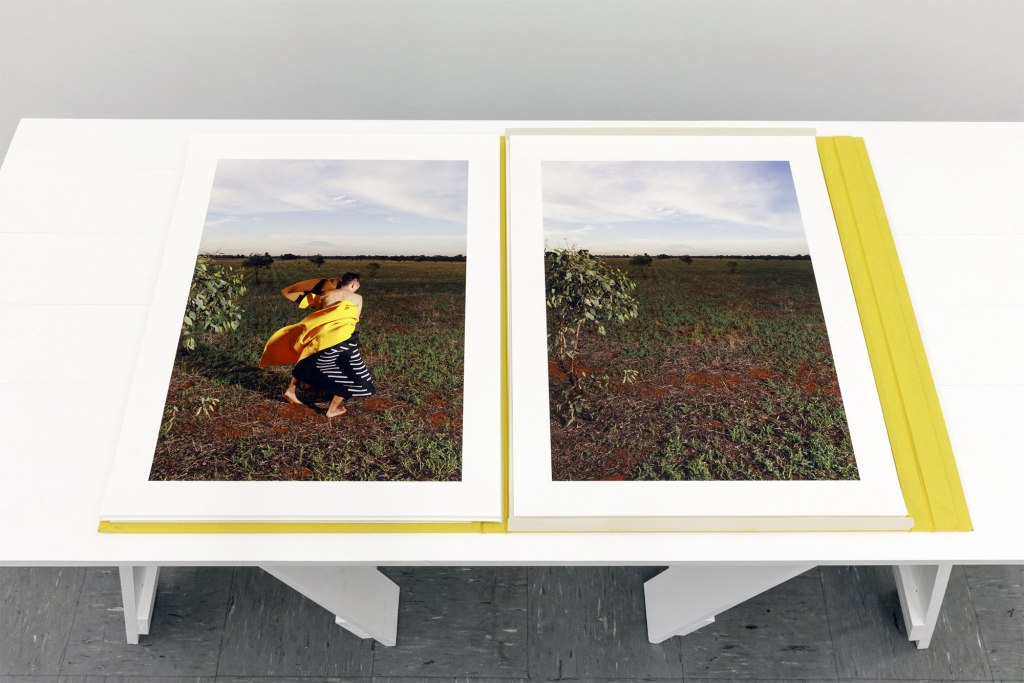 'Birdlike' by Anne Ferran at Sutton Gallery, Melbourne