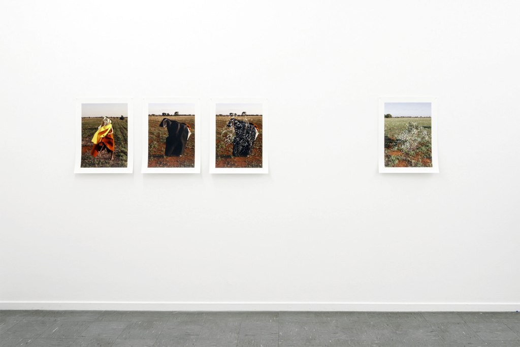 'Birdlike' by Anne Ferran at Sutton Gallery, Melbourne