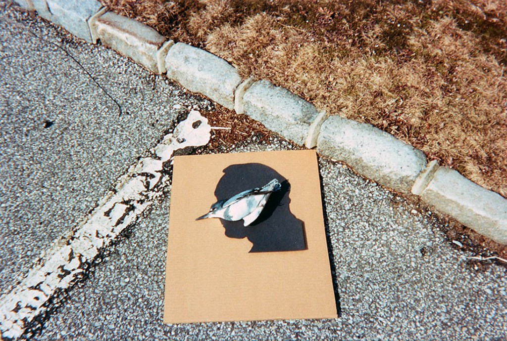 'PLEASE SEND TO REAL LIFE: Ray Johnson Photographs'