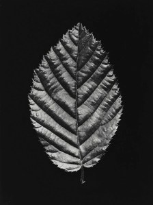 'Bernd and Hilla Becher' at the Metropolitan Museum of Art, New York