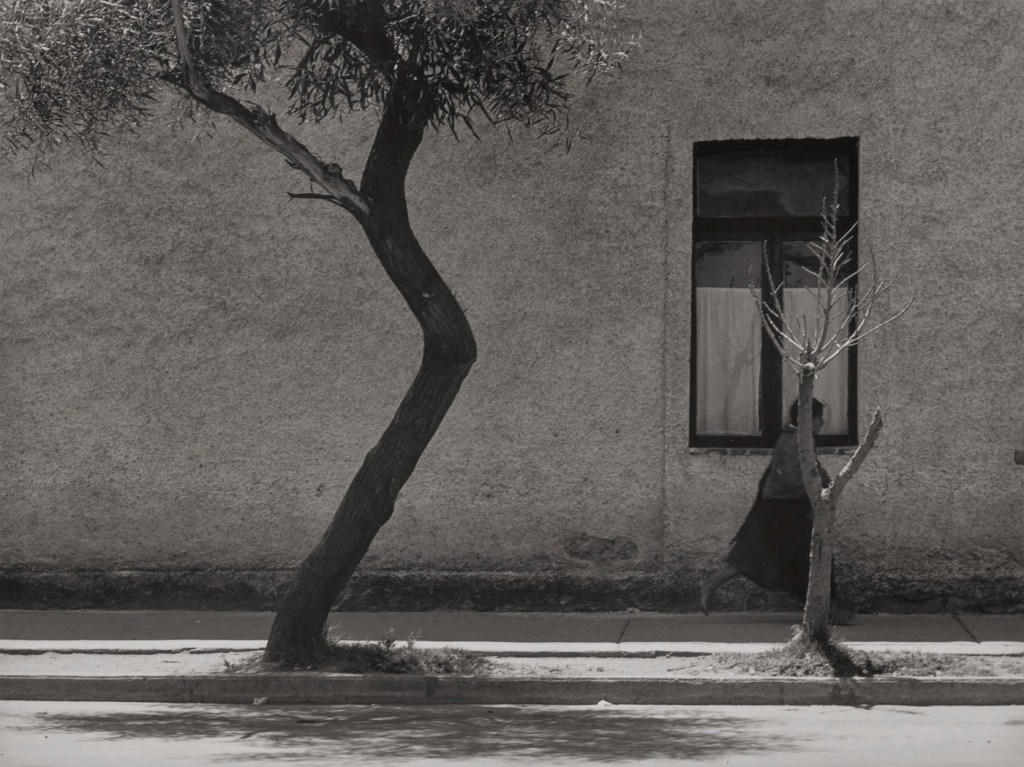 Manuel Alvarez Bravo The Good Reputation SleepingArt Blart _ art and ...