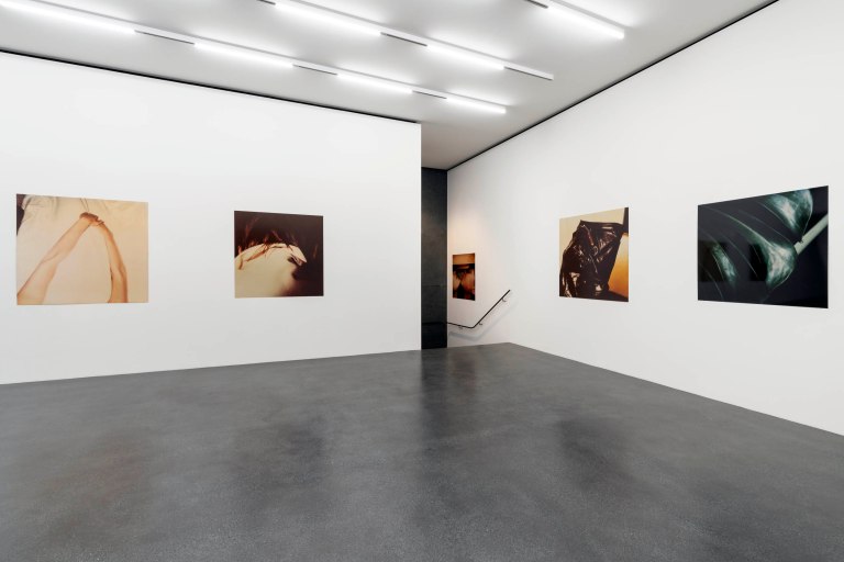 Polaroid photography – Art Blart _ art and cultural memory archive