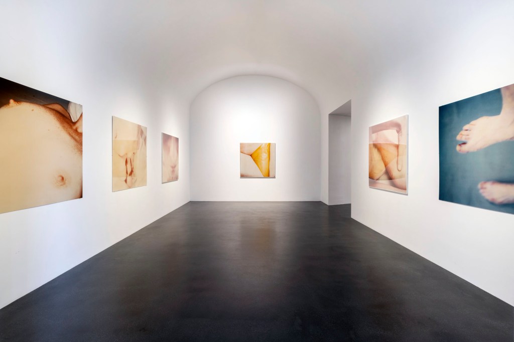 Polaroid photography – Art Blart _ art and cultural memory archive