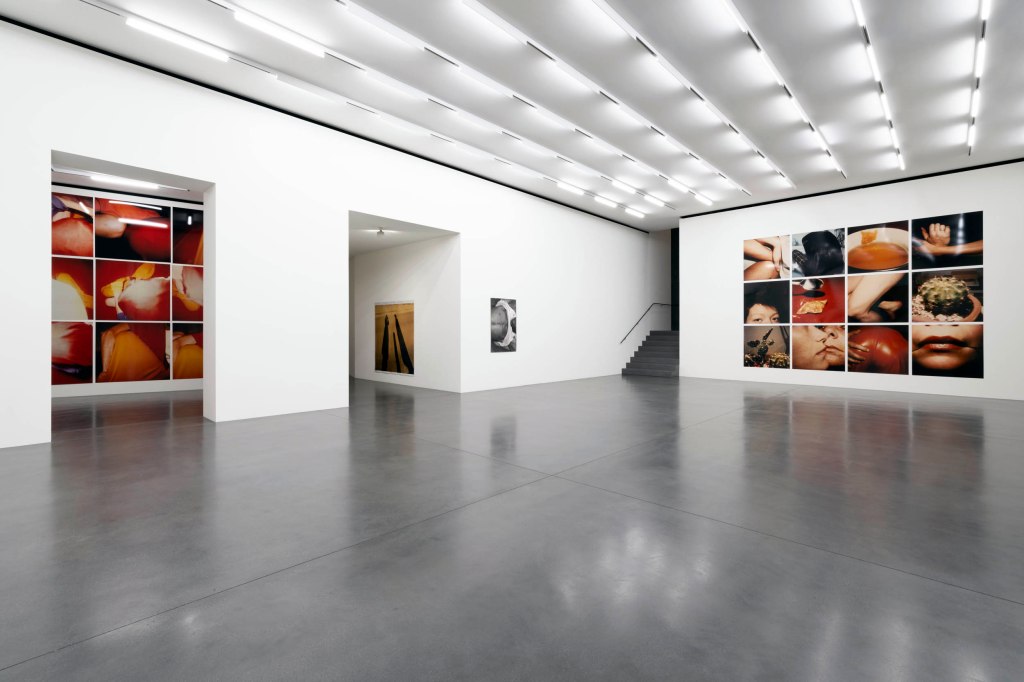 Polaroid photography – Art Blart _ art and cultural memory archive