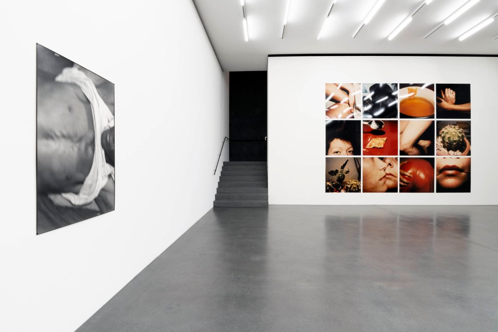 Polaroid photography – Art Blart _ art and cultural memory archive