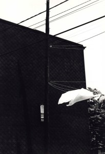 'Projects: Ming Smith' at the Museum of Modern Art (MoMA), NY