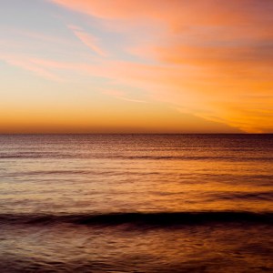 New Color PhotographyArt Blart _ art and cultural memory archive