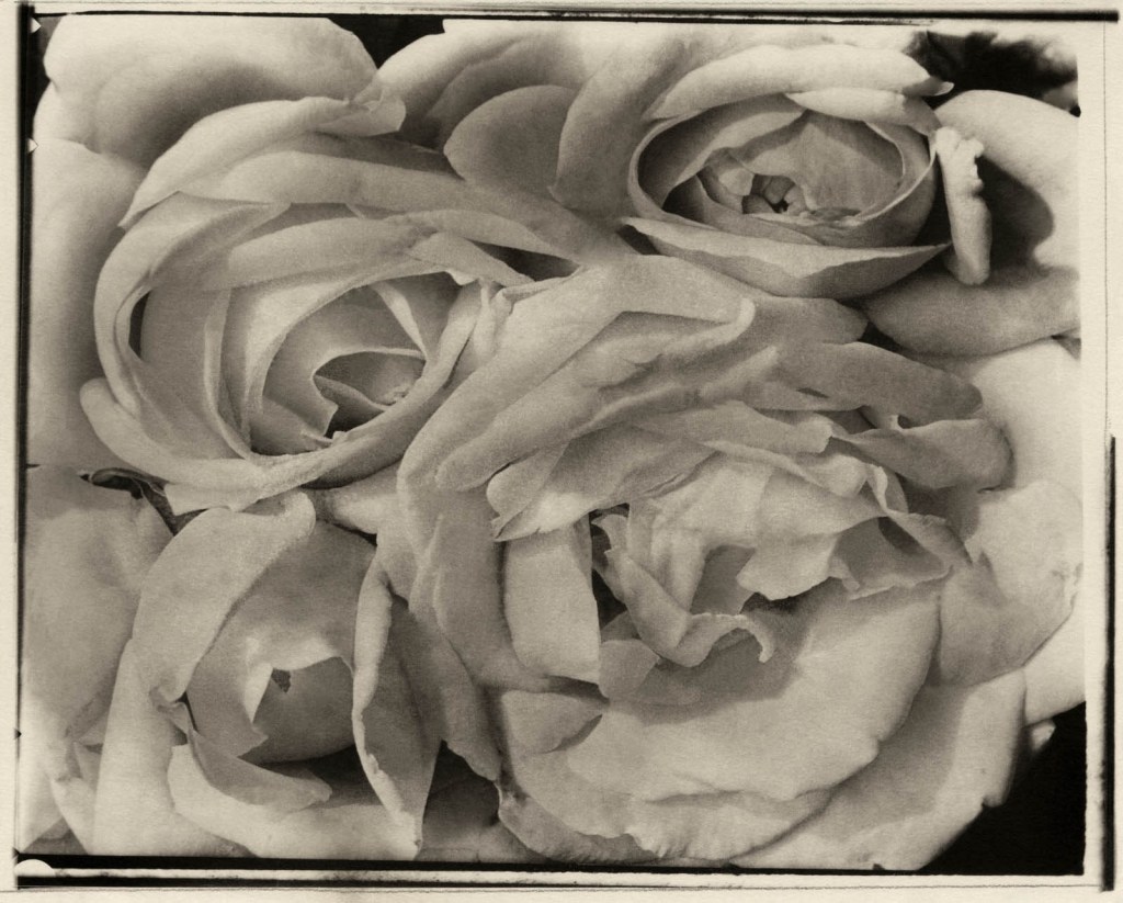 'Tina Modotti' at Fundación MAPFRE Photography Center (Barcelona)