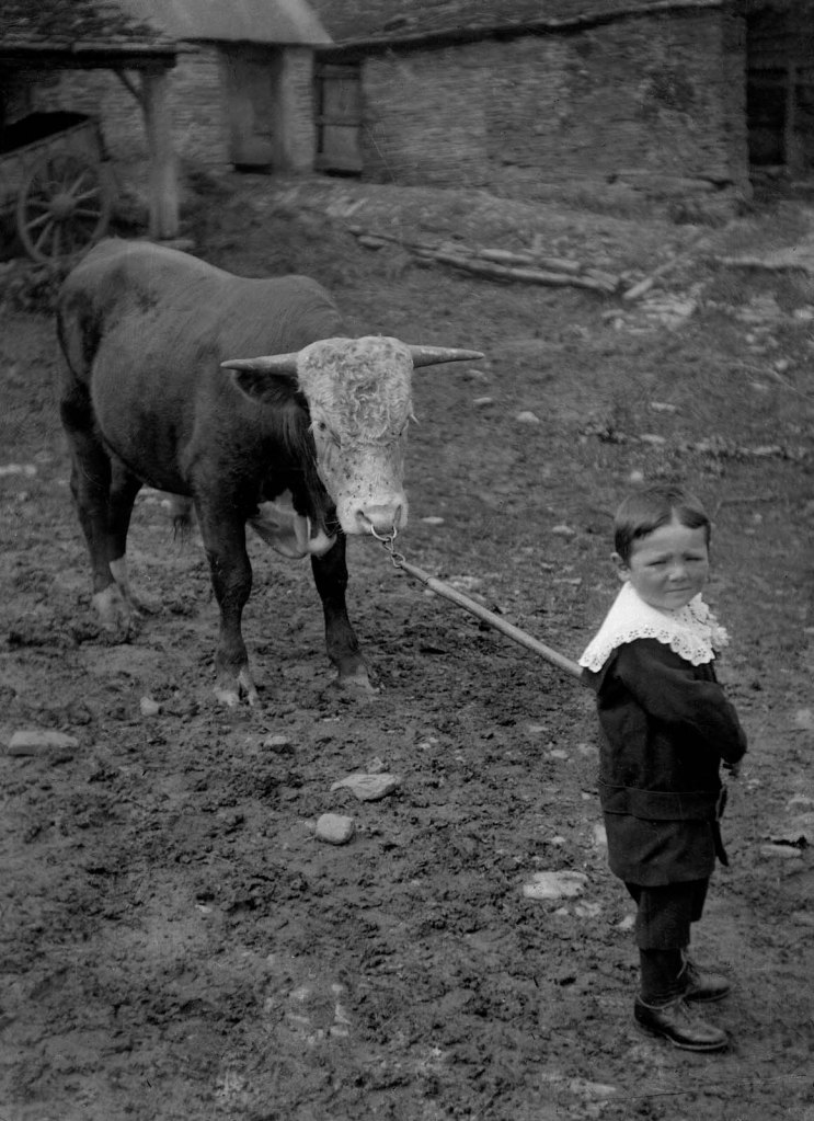 'Golden Valley Faces: The photographs of Richard Jenkins' at Café ...