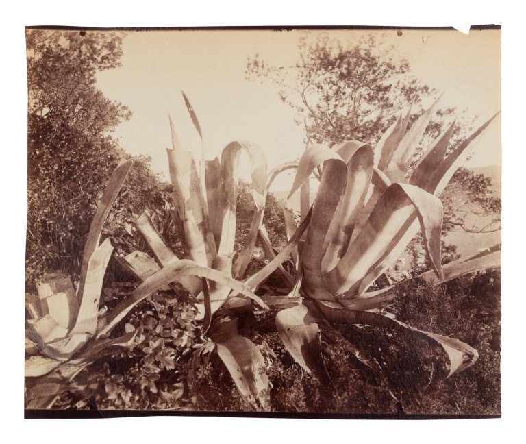 Eugène Atget (French, 1857-1927) and Ian Lobb, photographer, Nov 2023