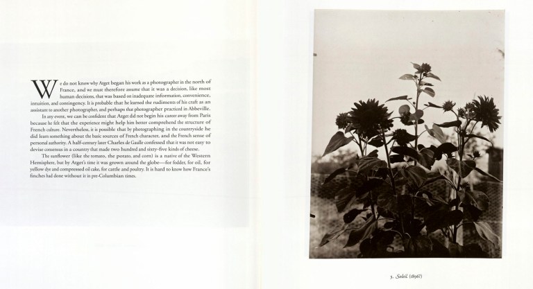 Eugène Atget (French, 1857-1927) and Ian Lobb, photographer, Nov 2023