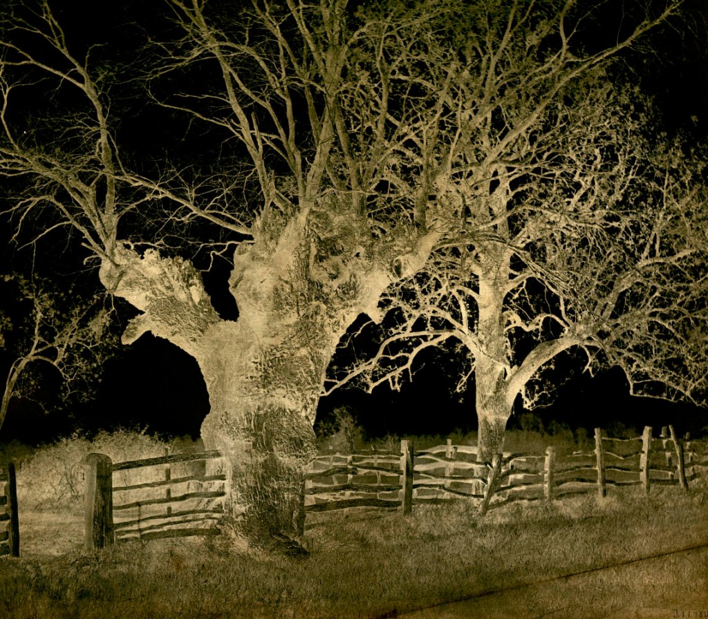 early photography – Art Blart _ art and cultural memory archive