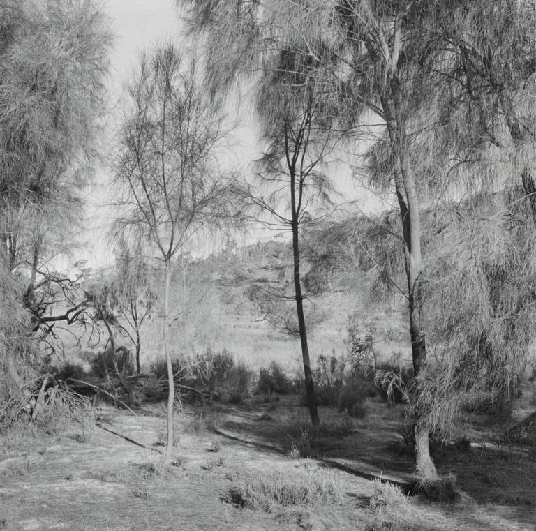 Cy TwomblyArt Blart _ art and cultural memory archive