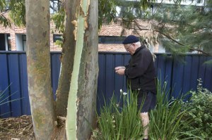 Vale Ian Lobb (1948-2023), photographer – Art Blart _ art and cultural ...