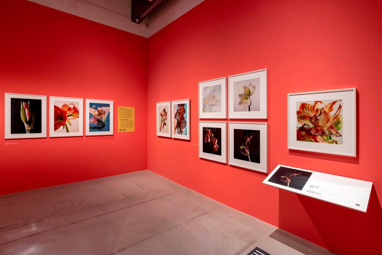 Exhibition: ‘On Her Own. The photographer Elfriede Mejchar’ at Wien ...
