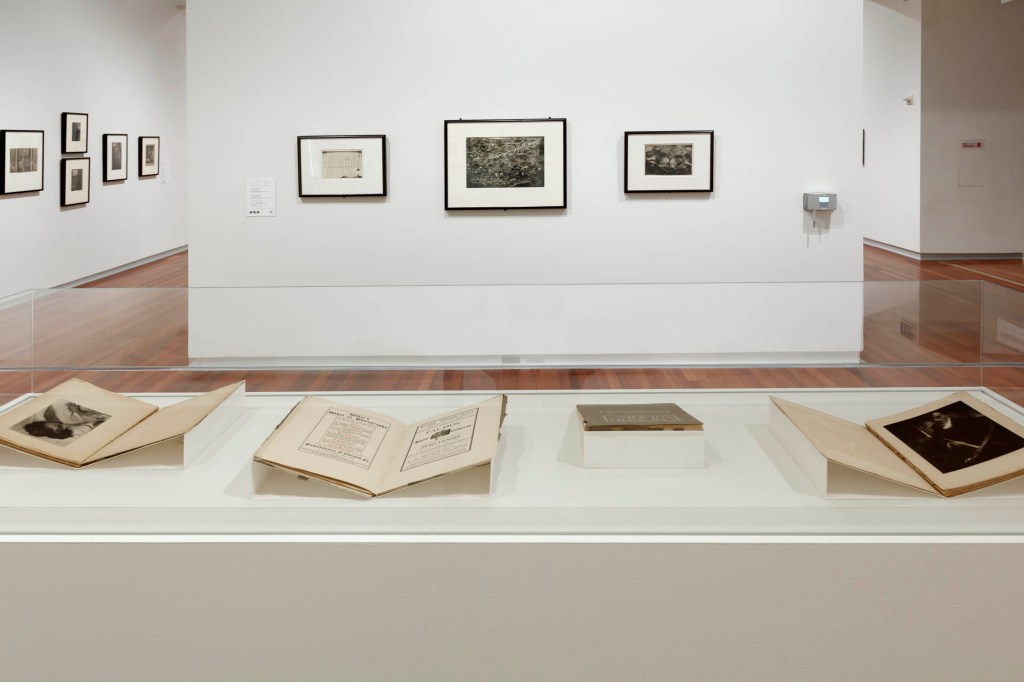 Alfred StieglitzArt Blart _ art and cultural memory archive