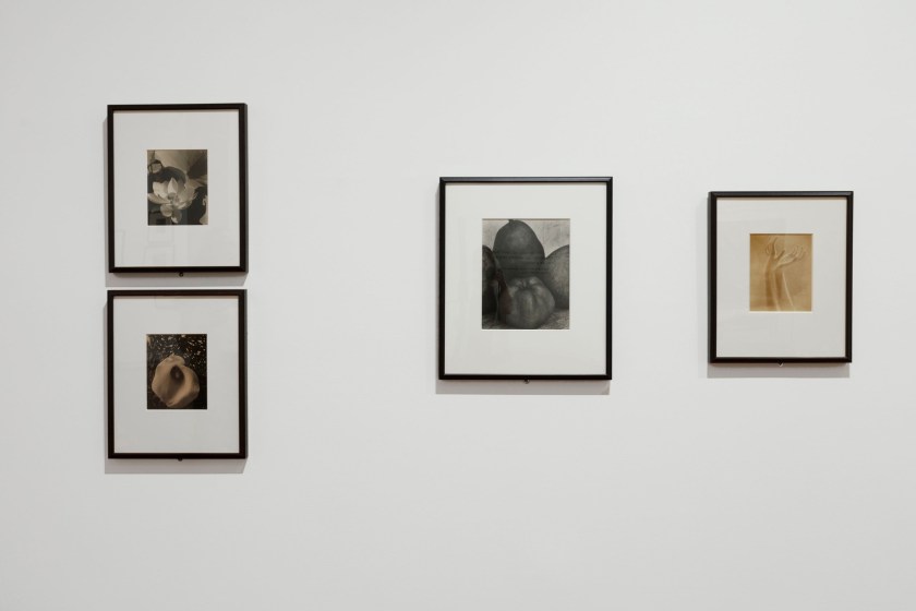 Alfred Stieglitz – Art Blart _ art and cultural memory archive