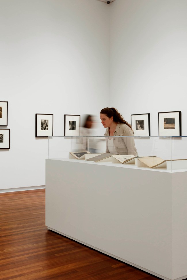 Alfred Stieglitz – Art Blart _ art and cultural memory archive