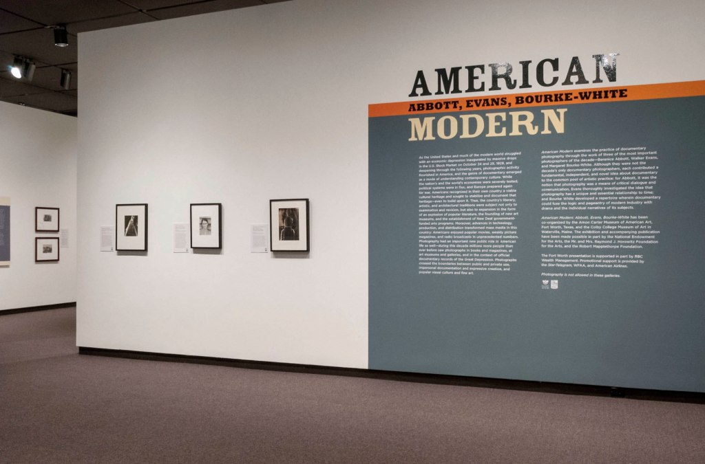 American ModernArt Blart _ art and cultural memory archive