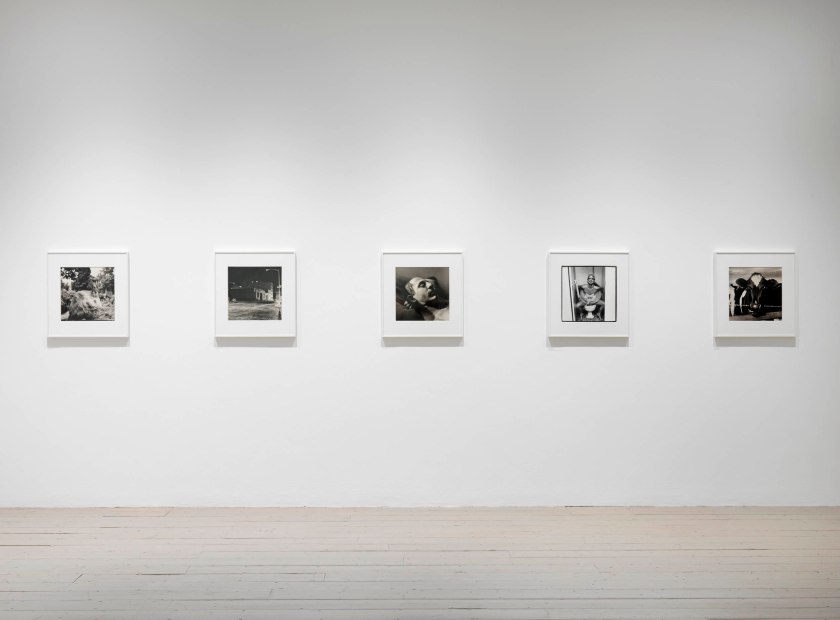 'Peter Hujar – Eyes Open in the Dark' at Raven Row, London