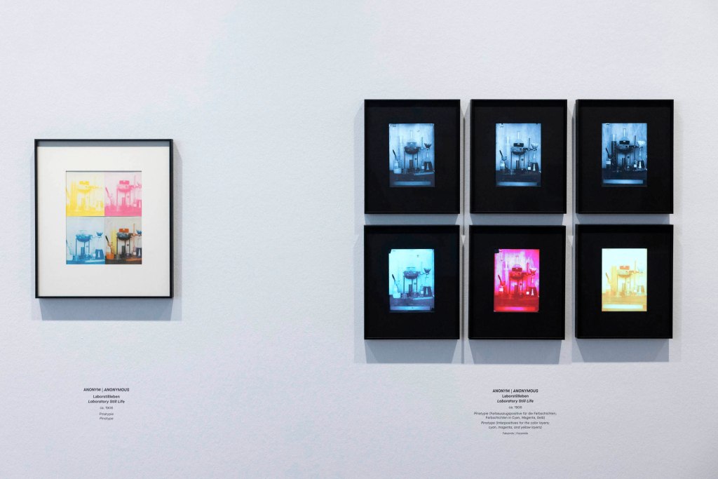 'True Colors: Color in Photography from 1849 to 1955' at Albertina Modern