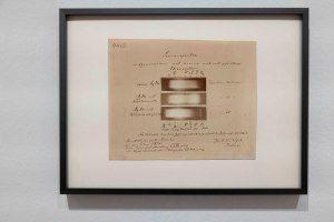 'True Colors: Color in Photography from 1849 to 1955' at Albertina Modern