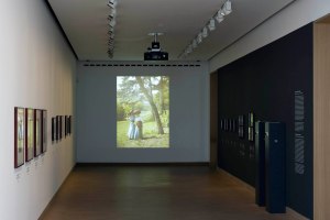 'True Colors: Color in Photography from 1849 to 1955' at Albertina Modern