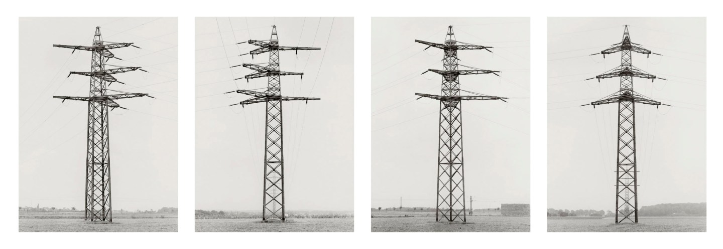 Hilla Becher Pflanzenstudie PhotogrammeArt Blart _ art and cultural ...